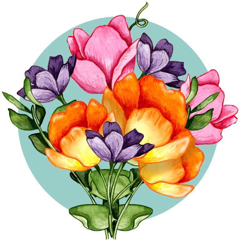 Illustration – Charlotte Regan Illustration